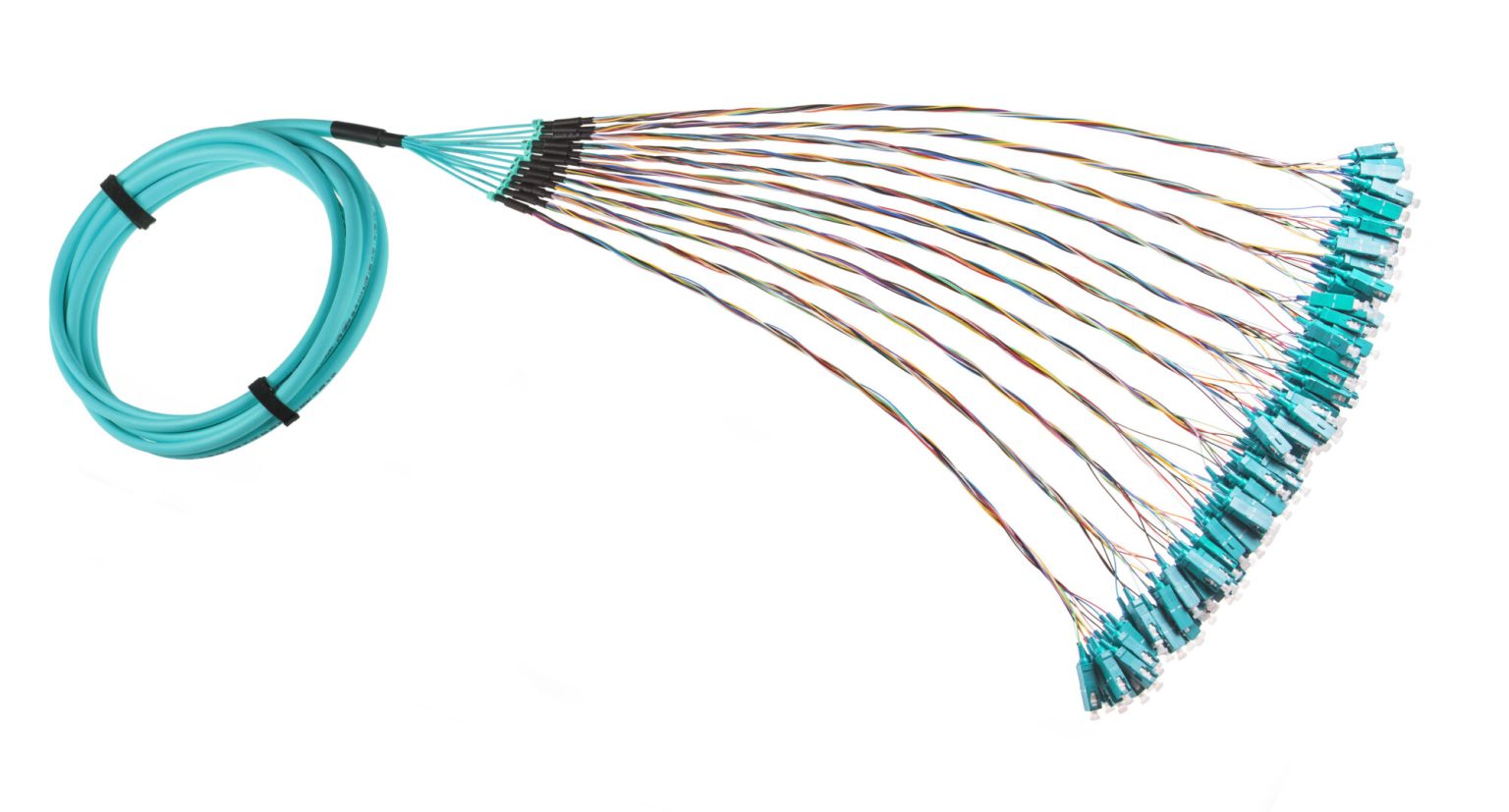 Fiber Optic Trunks - Signamax
