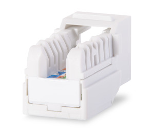 Voice-Grade EC-Series Keystone Jacks - Signamax